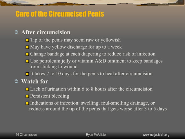 Circumcision | PPT