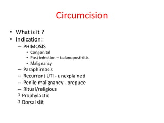circumcision.pptx