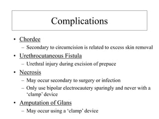 Circumcision.ppt