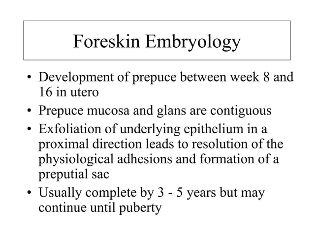 Circumcision.ppt