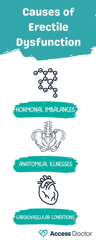 Causes of Erectile Dysfunction | PDF