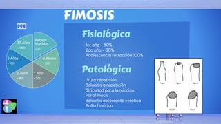 circuncision y fimosis presentacion .pptx