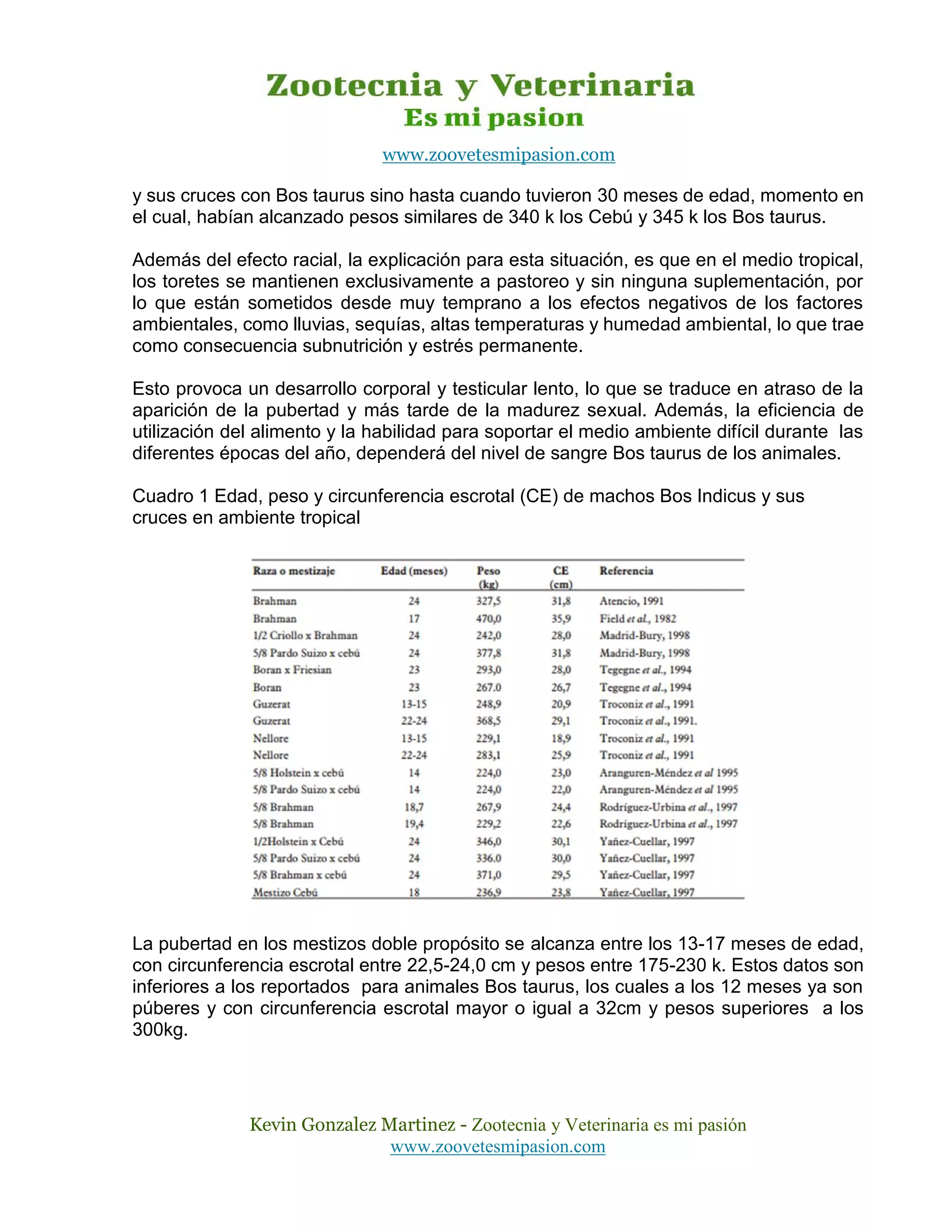Circunferencia escrotal en el toro | PDF