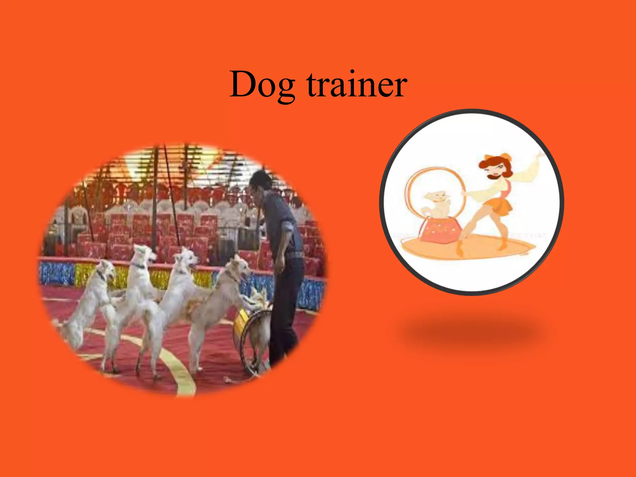 circus-flash-cards | PDF