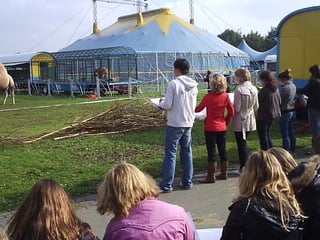 Circus in town | PPT