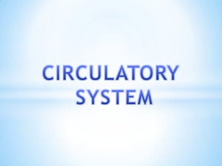 Circusystem | PPTX