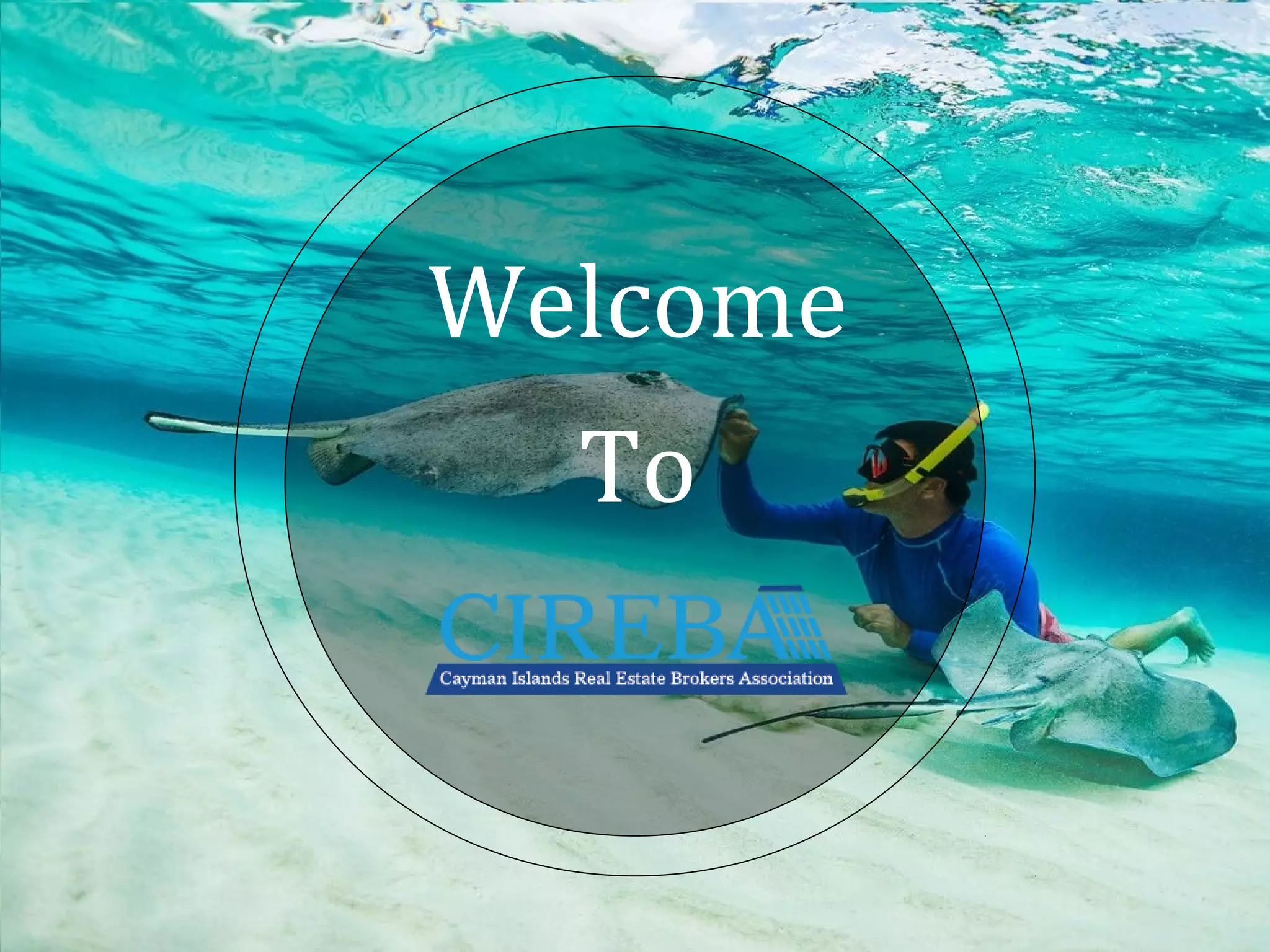 Cayman investment made easy with CEREBA | PPT