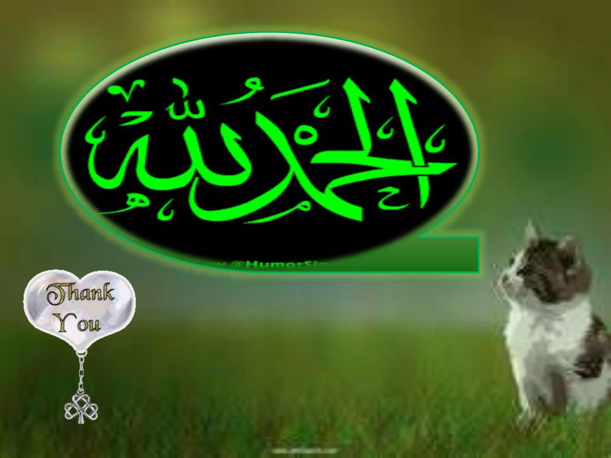 Ciri ciri evaluasi hasil belajar | PPTX