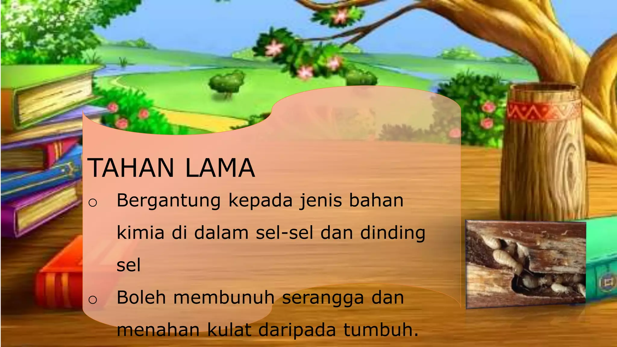 Ciri ciri kayu | PPTX