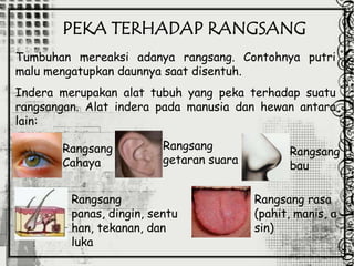 Ciri ciri makhluk hidup | PPTX