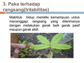 Ciri ciri makhluk hidup | PPT