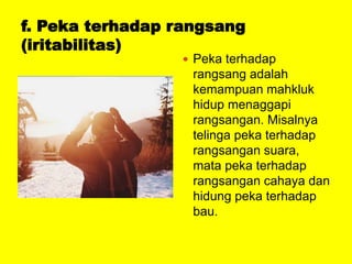 Ciri ciri makhluk hidup | PPTX