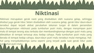 Praktikum Ciri-Ciri Makhluk Hidup .pptx