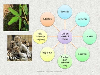 ciri- ciri makhluk hidup baru.pptx
