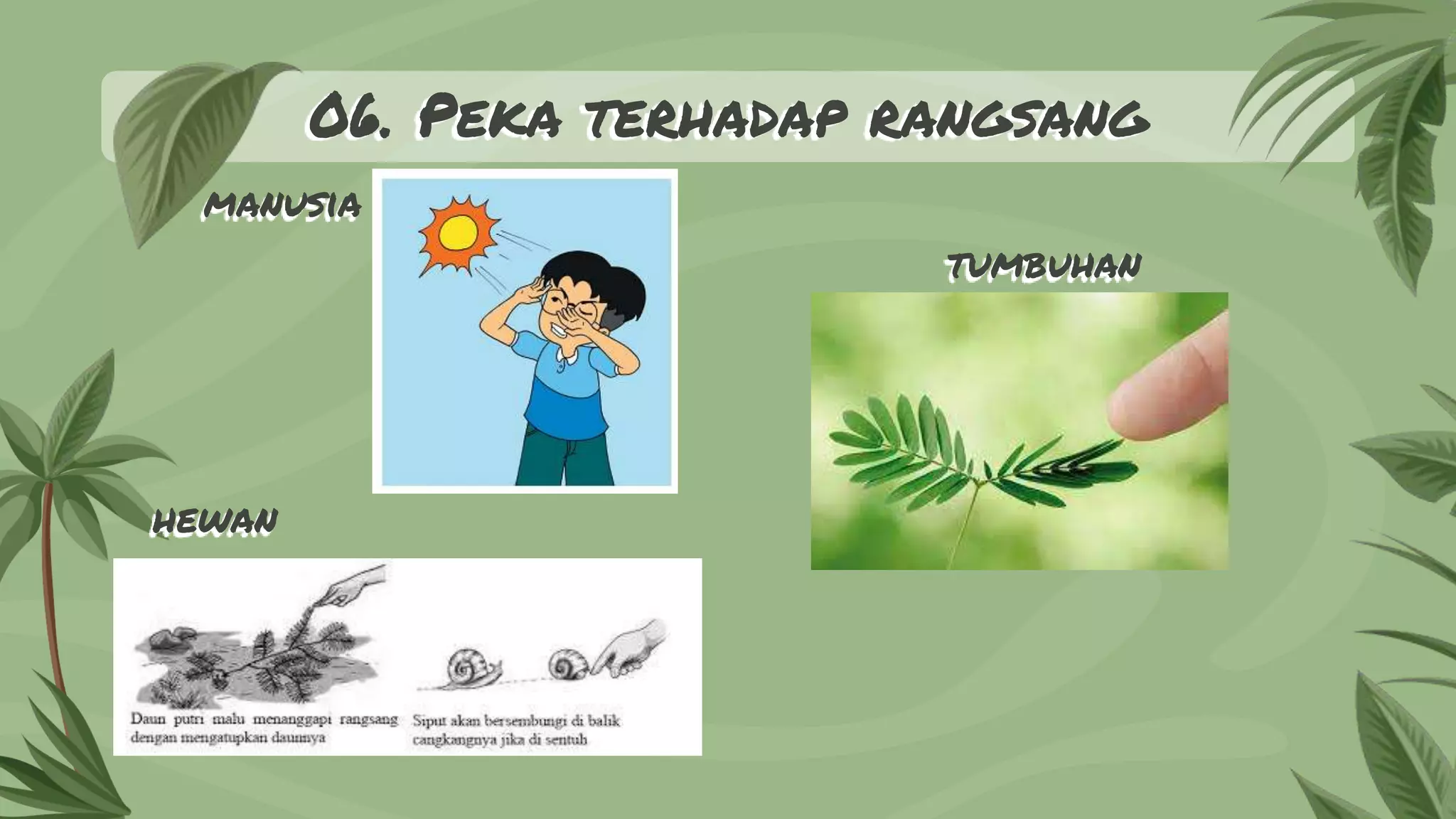 ciri-ciri makhluk hidup_kelompok 2 unit 01-1 (2).pptx