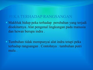Ciri ciri makluk hidup | PPT