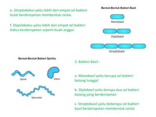 Ciri ciri perkembangbiakan dan manfaat bakteri | PPT