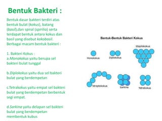 Ciri ciri perkembangbiakan dan manfaat bakteri | PPTX