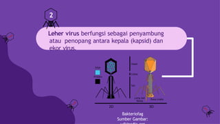 Klasifikasi, bentuk dan ciri-ciri Virus.pptx