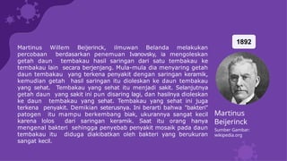 Klasifikasi, bentuk dan ciri-ciri Virus.pptx