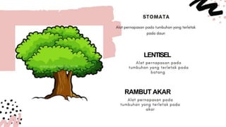 CIRI CIRI MAKHLUK HIDUP.pptx