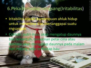 Ciri ciri makhluk hidup (ipa) | PPTX