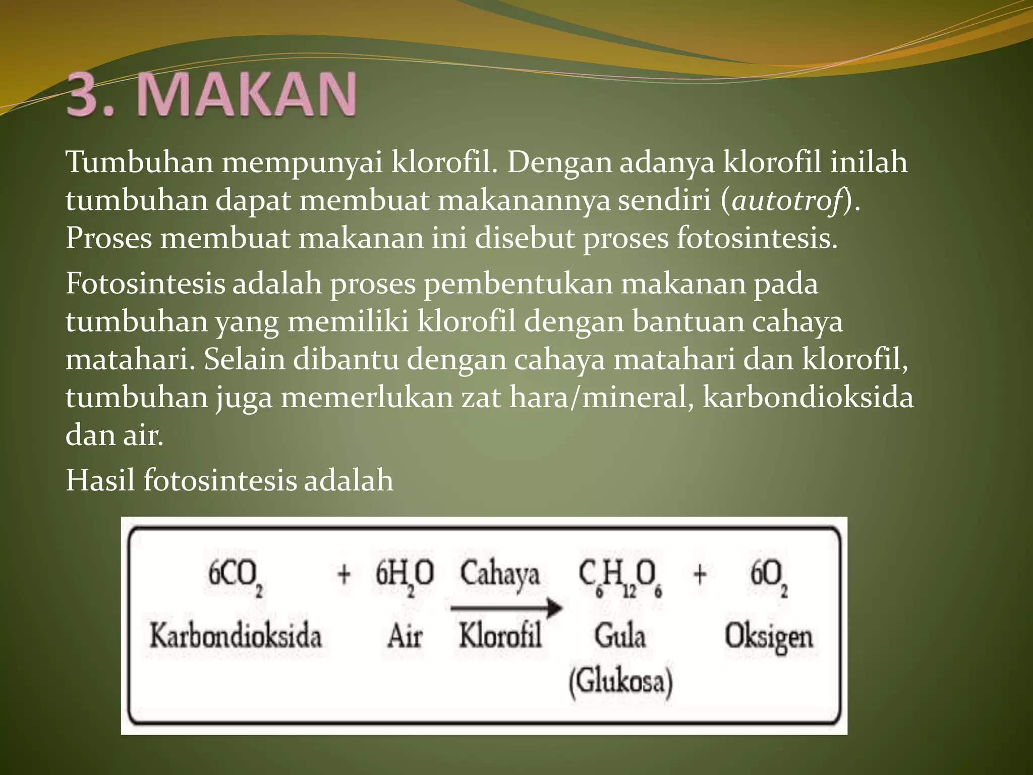 Ciri – ciri umum tumbuhan | PPTX