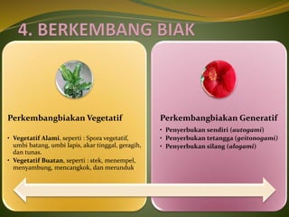 Ciri – ciri umum tumbuhan | PPTX
