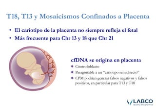 Diagnóstico prenatal no invasivo en sangre materna | PDF