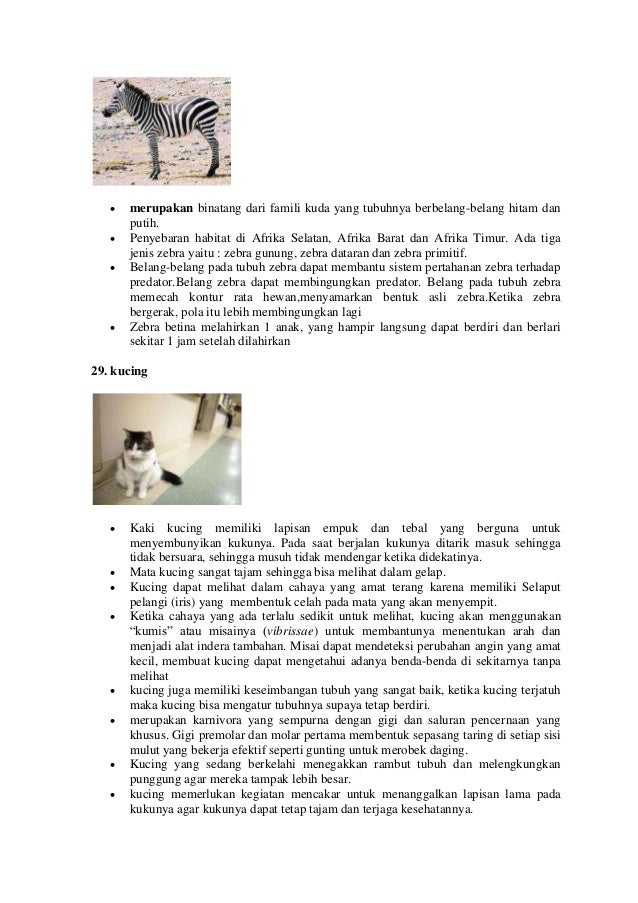 Ciri Ciri Hewan Dalam Bahasa Inggris Ciri Ciri Hewan Dalam Bahasa Inggris