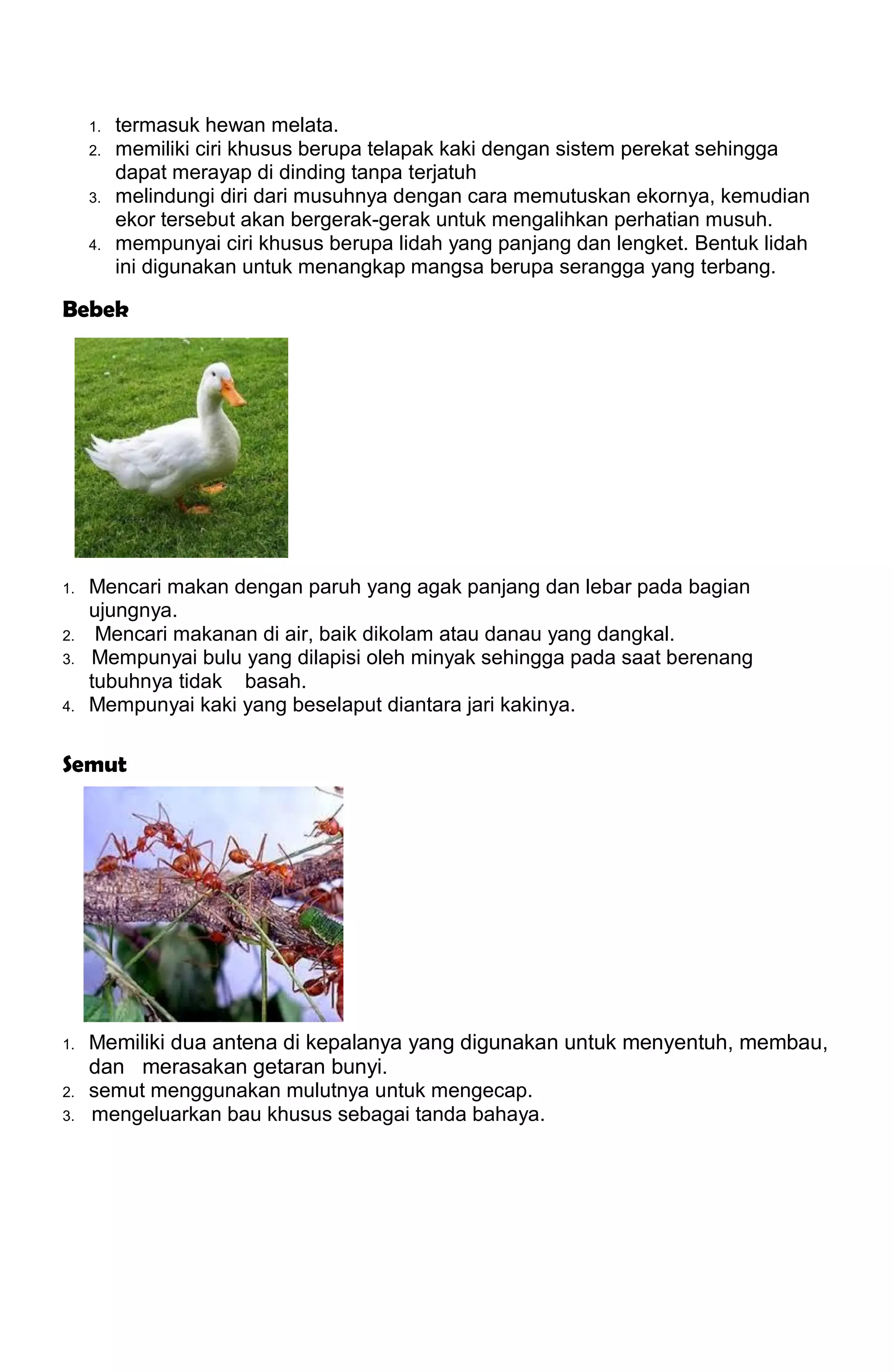 Ciri khusus hewan | PDF
