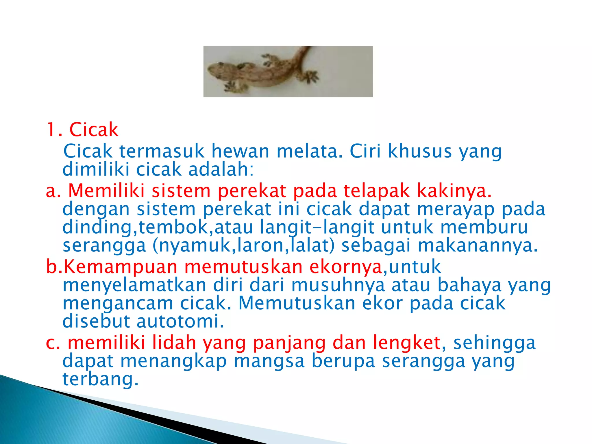 Ciri khusus pada hewan | PPTX