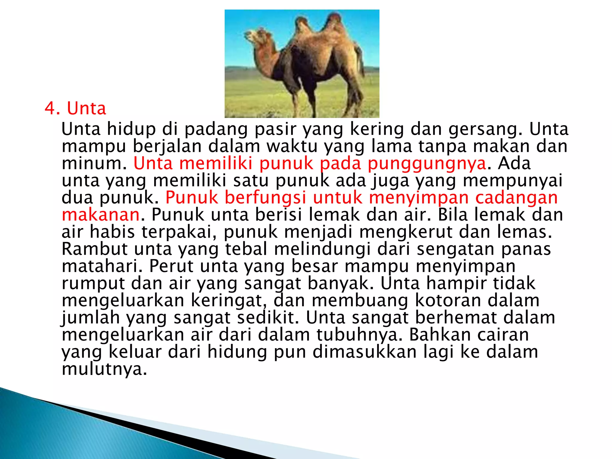 Ciri khusus pada hewan | PPTX