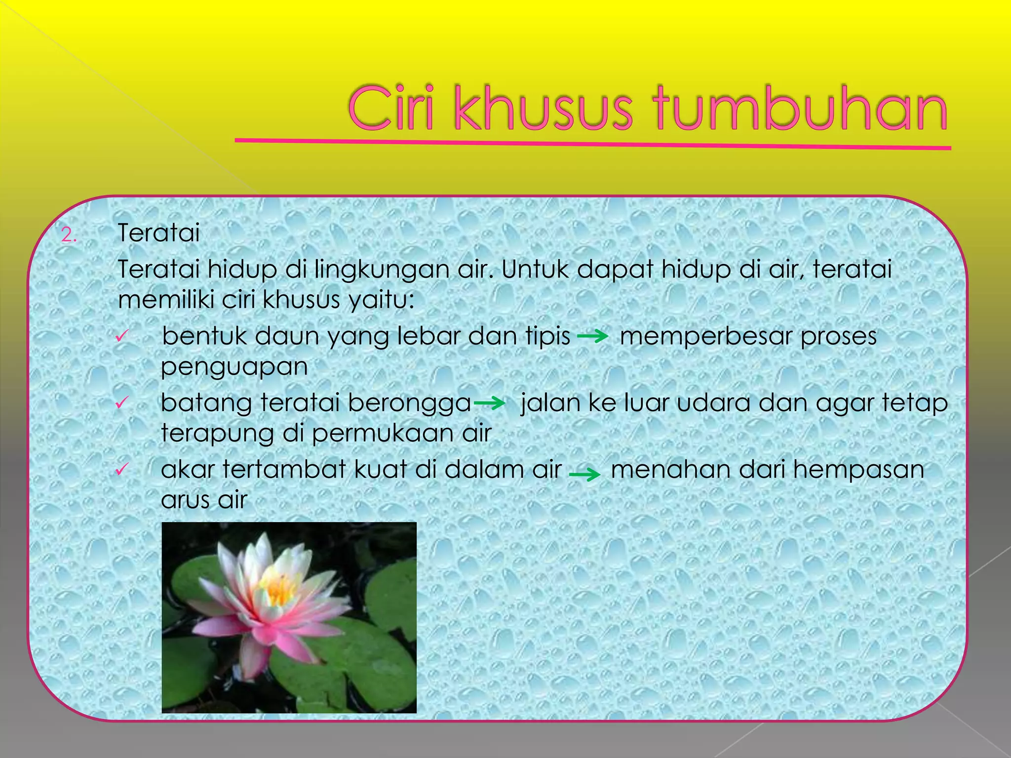 Ciri khusus tumbuhan | PPTX