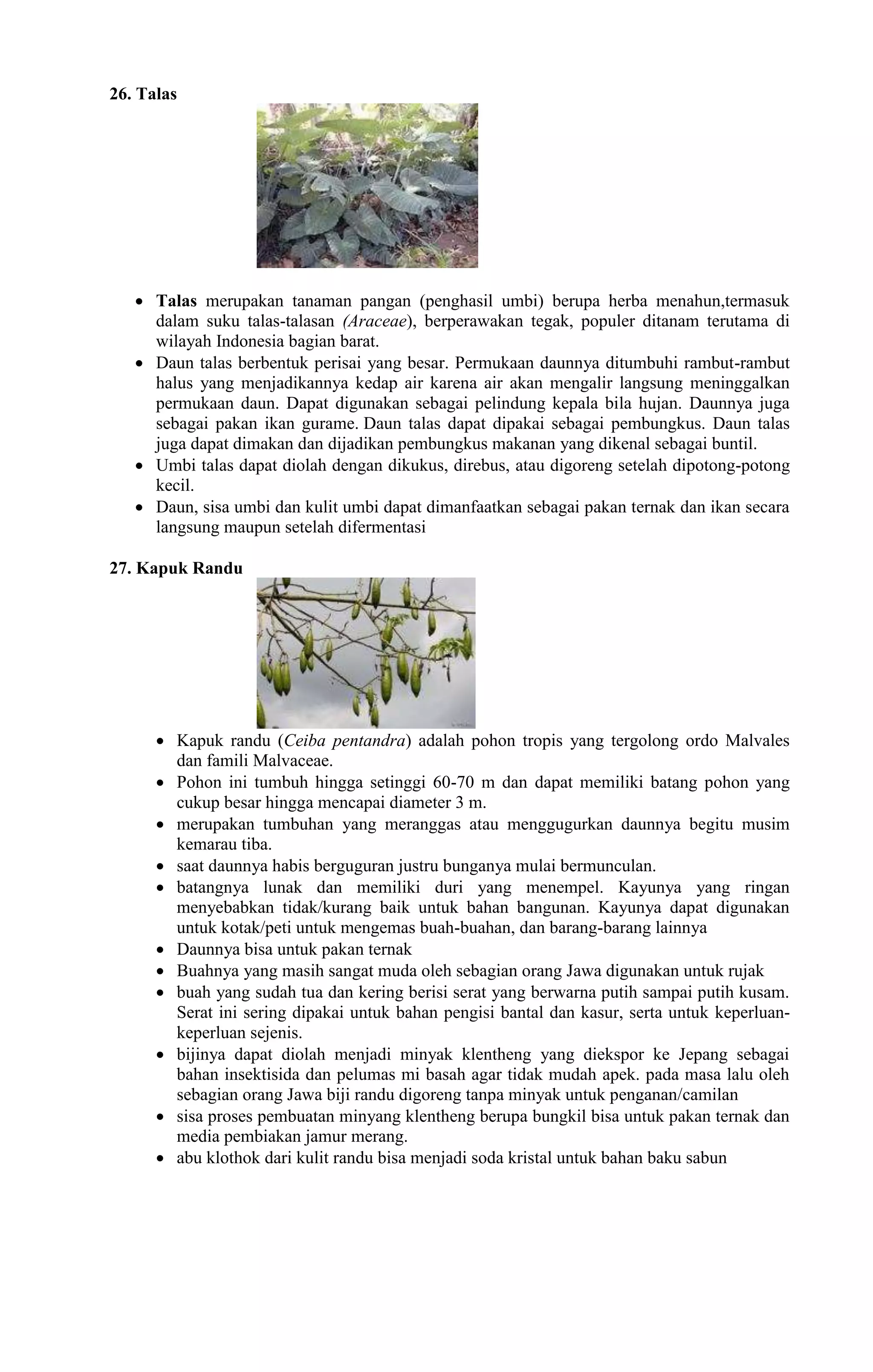 Ciri khusus tumbuhan sd | PDF