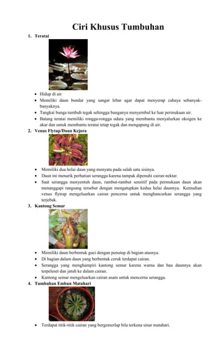 Ciri khusus tumbuhan sd | PDF