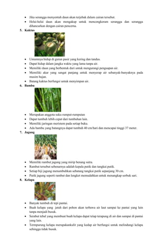 Ciri khusus tumbuhan sd | PDF