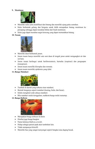 Ciri khusus tumbuhan sd | PDF