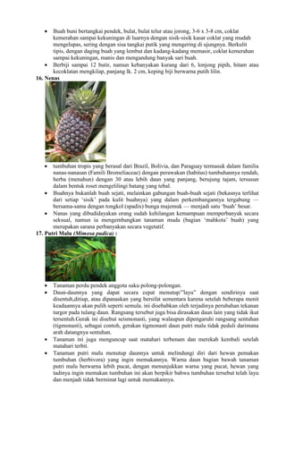 Ciri khusus tumbuhan sd | PDF