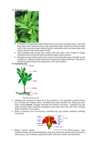Ciri khusus tumbuhan sd | DOCX
