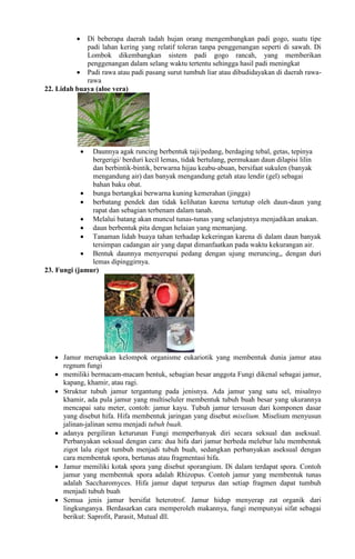 Ciri khusus tumbuhan sd | PDF