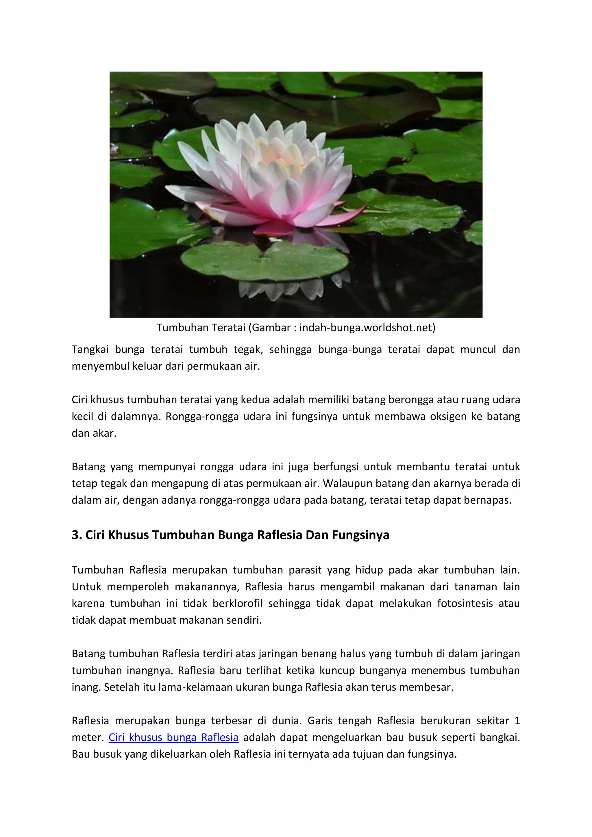 Ciri khusus tumbuhan dan fungsinya | PDF