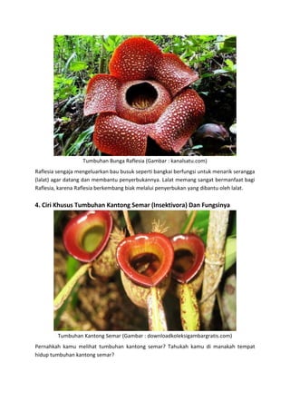 Ciri khusus tumbuhan dan fungsinya | PDF