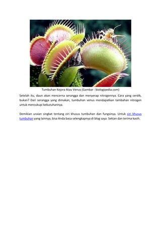 Ciri khusus tumbuhan dan fungsinya | PDF