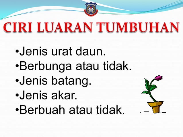 Ciri luaran tumbuhan | PPTX