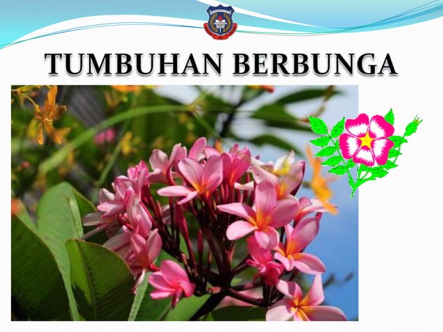 Ciri luaran tumbuhan | PPTX