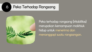 Ciri Makhluk Hidup | PDF