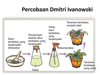 Ciri dan struktur virus | PPTX