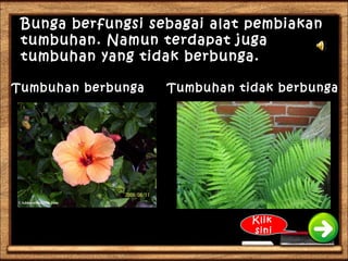 Ciri tumbuhan | PPT