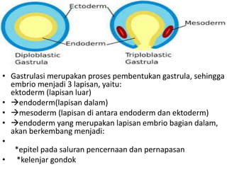 CIRI UMUM HEWAN | PPTX